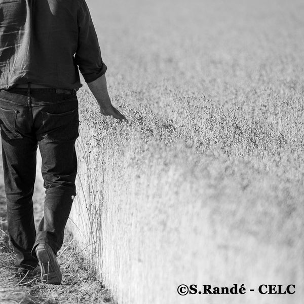 Respire Collection Lin